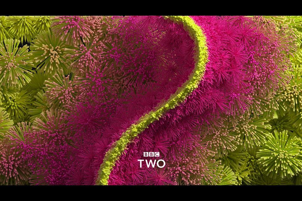 Gallery: New BBC2 idents | Features | Broadcast